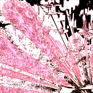 Music | angel tabris