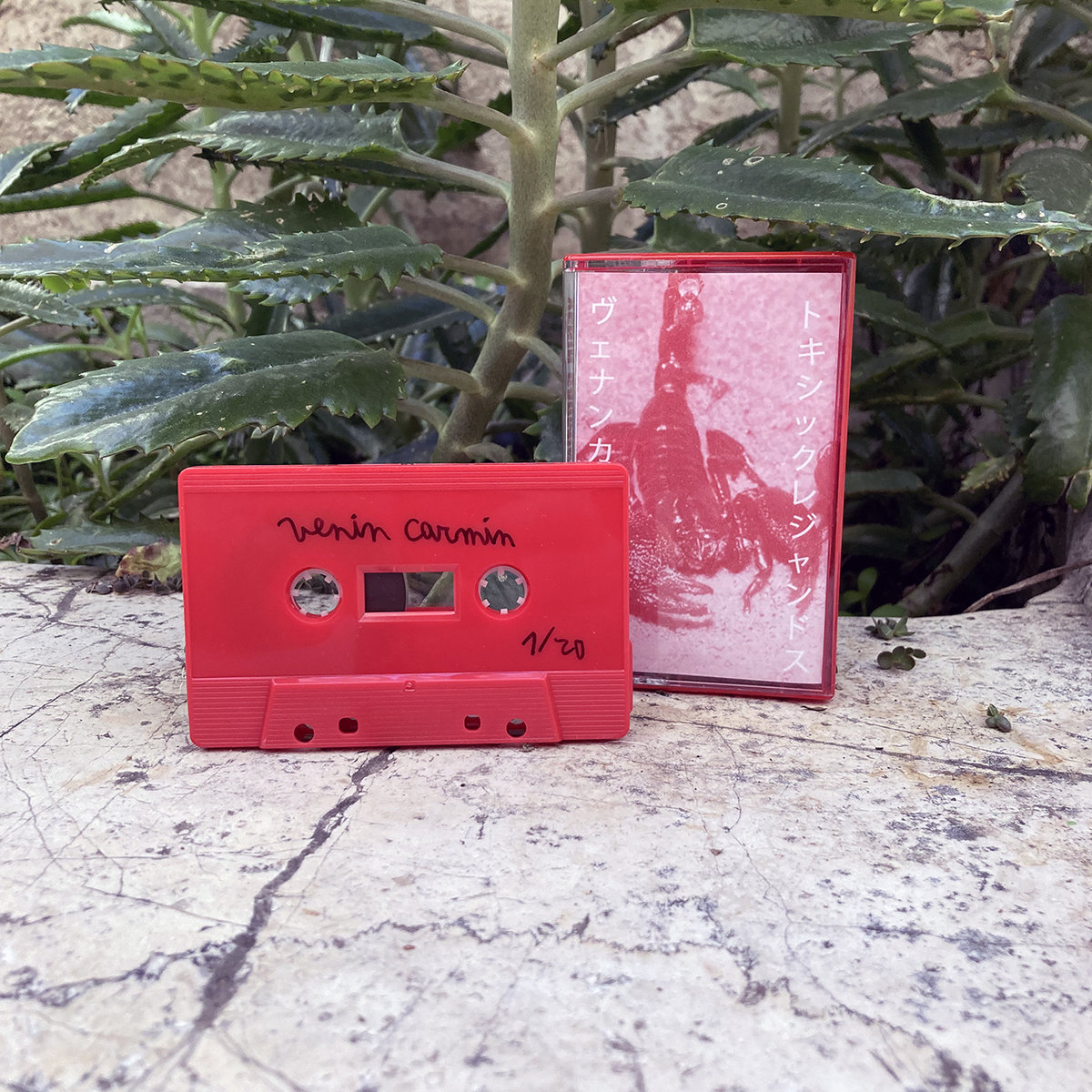 Toxic legends | Venin Carmin | Coeur sur toi