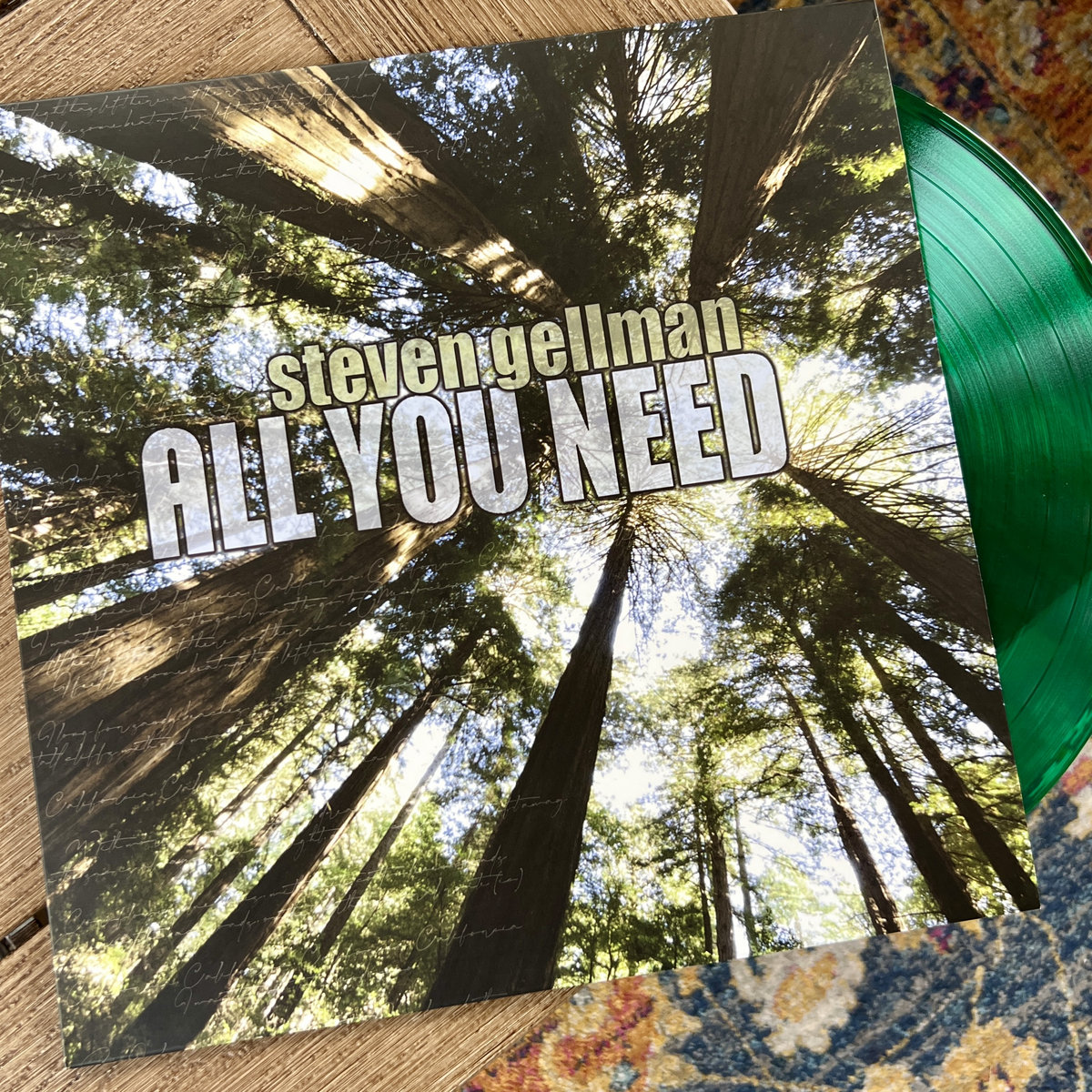 All You Need | Steven Gellman