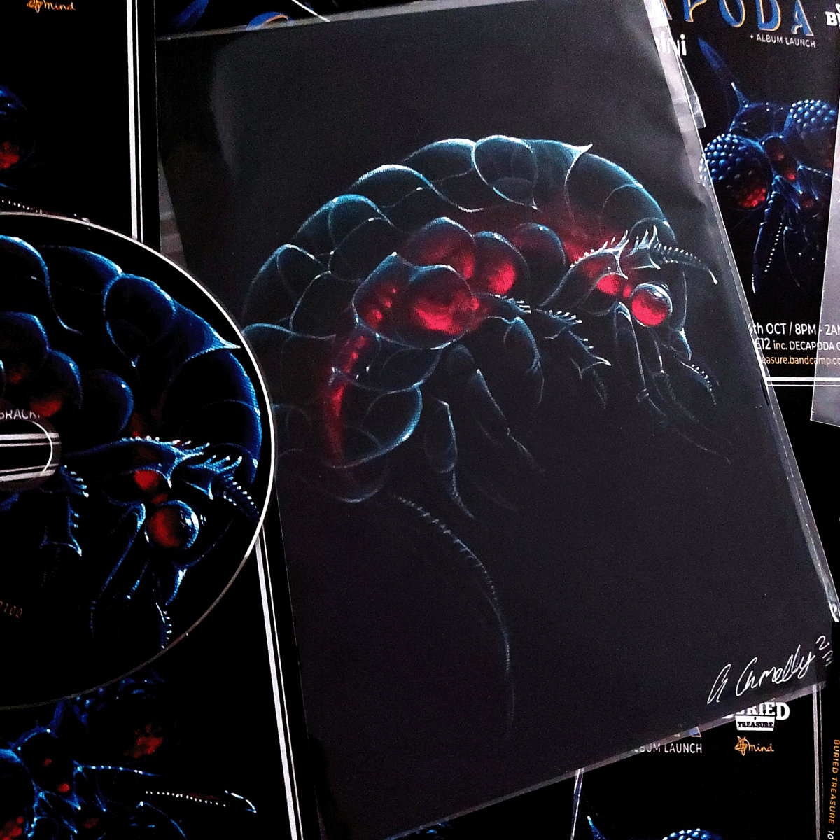 DECAPODA | VARIOUS | Buried Treasure