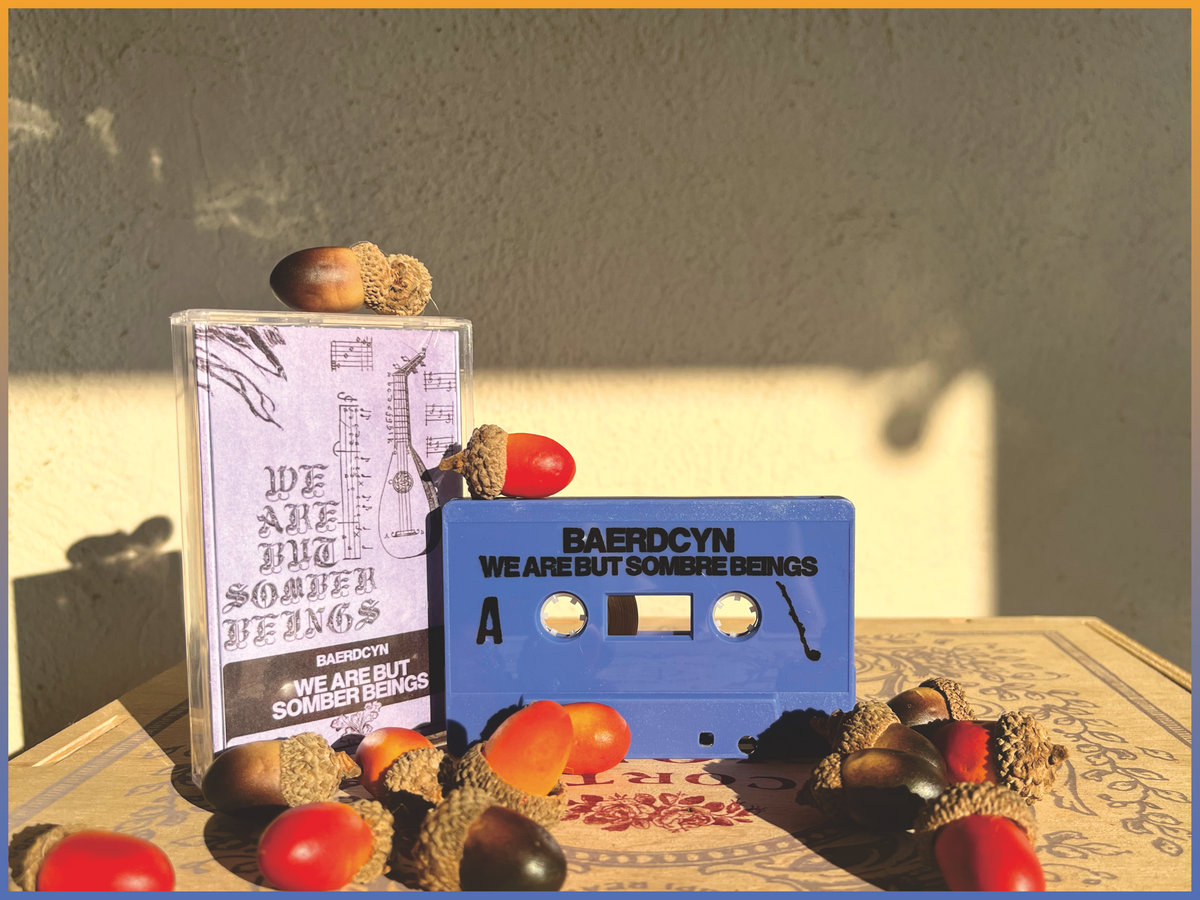 We Are But Somber Beings | Baerdcyn | Big Tobacco Records