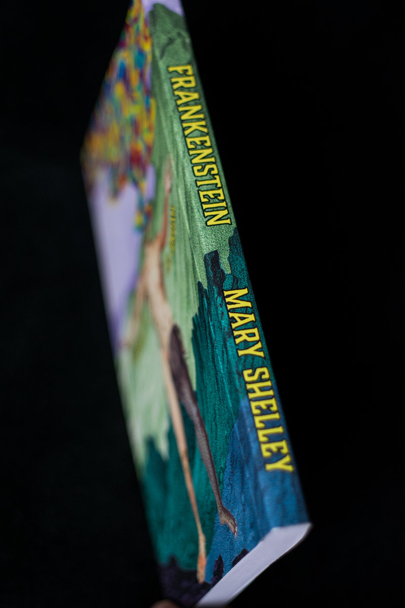 Frankenstein - Illustrated Book, Limited Edition | Vault of Stars