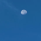 AVM 16: Note Block Battle OST (Animation vs Minecraft Shorts Ep 16 ...