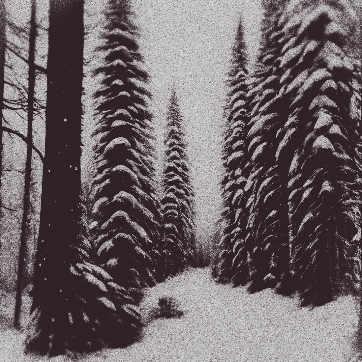 Dracula After Dark (Live) | Robbie Dracula | A Pale, Cold Night