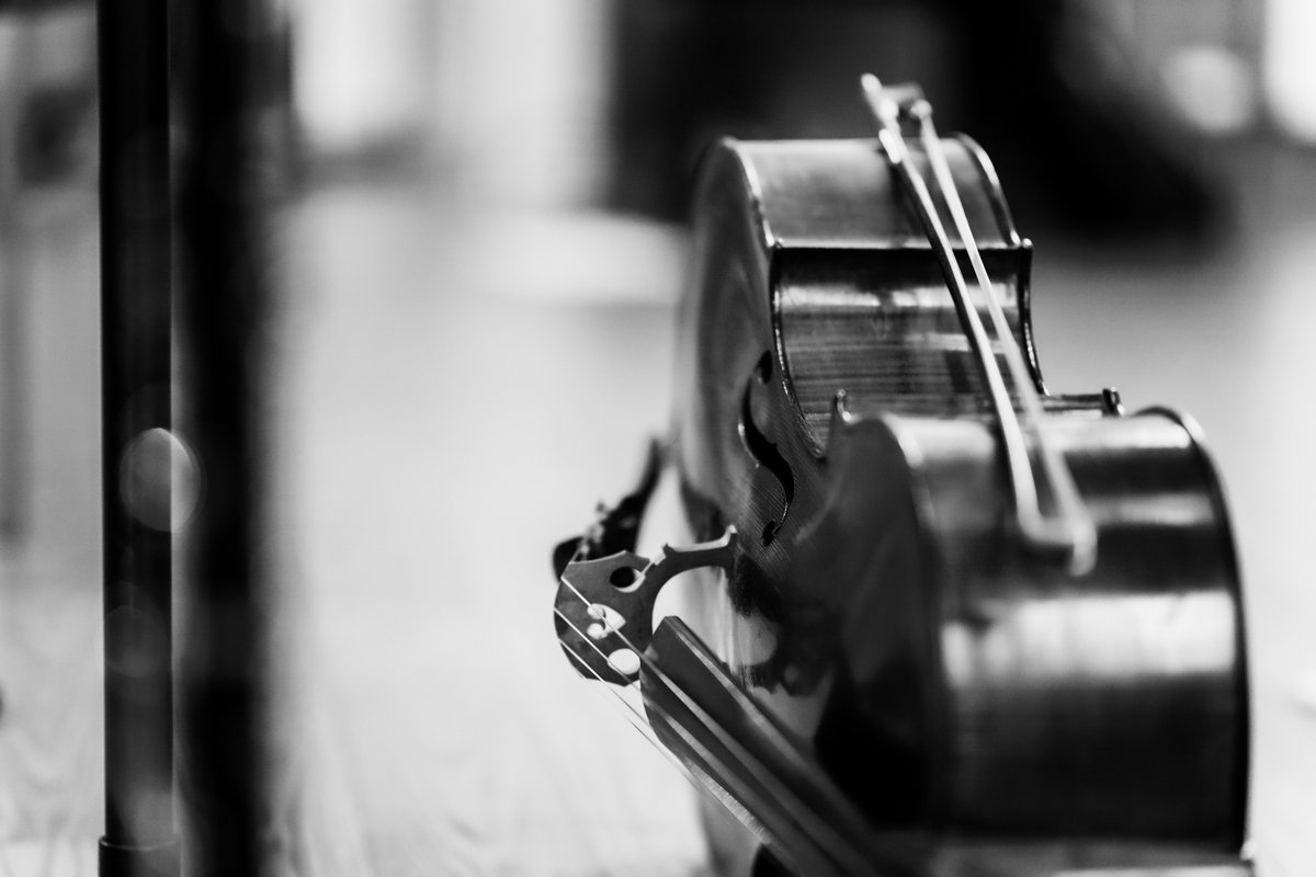 Almost Unseen | Artisan, Artisan Ensemble, Suzanne Parry | Artisan