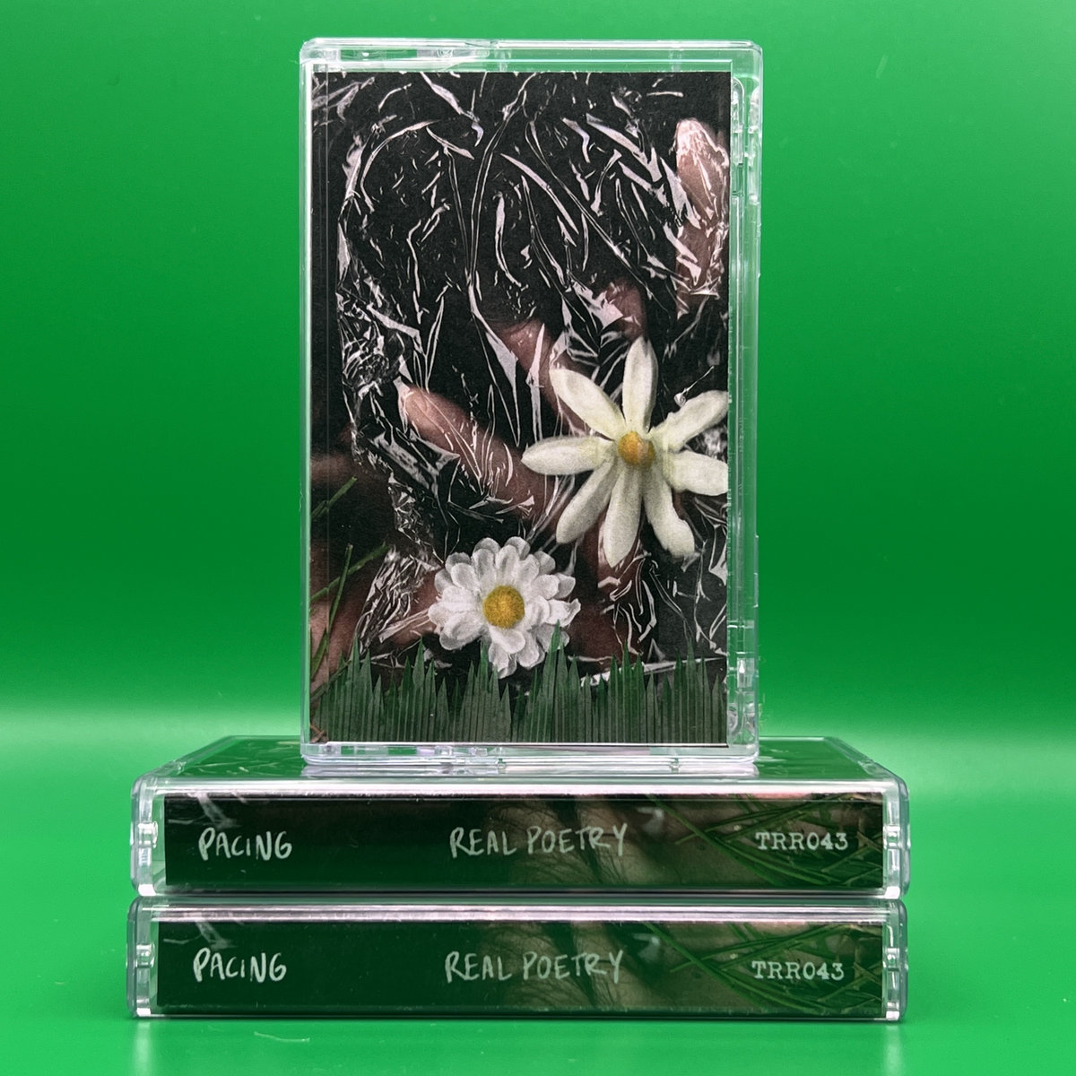 Real poetry is always about plants and birds and trees and the animals ...