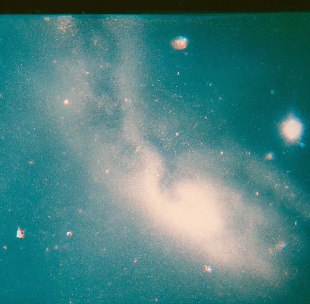 Oddities and Calamaties | The Ivory Claws