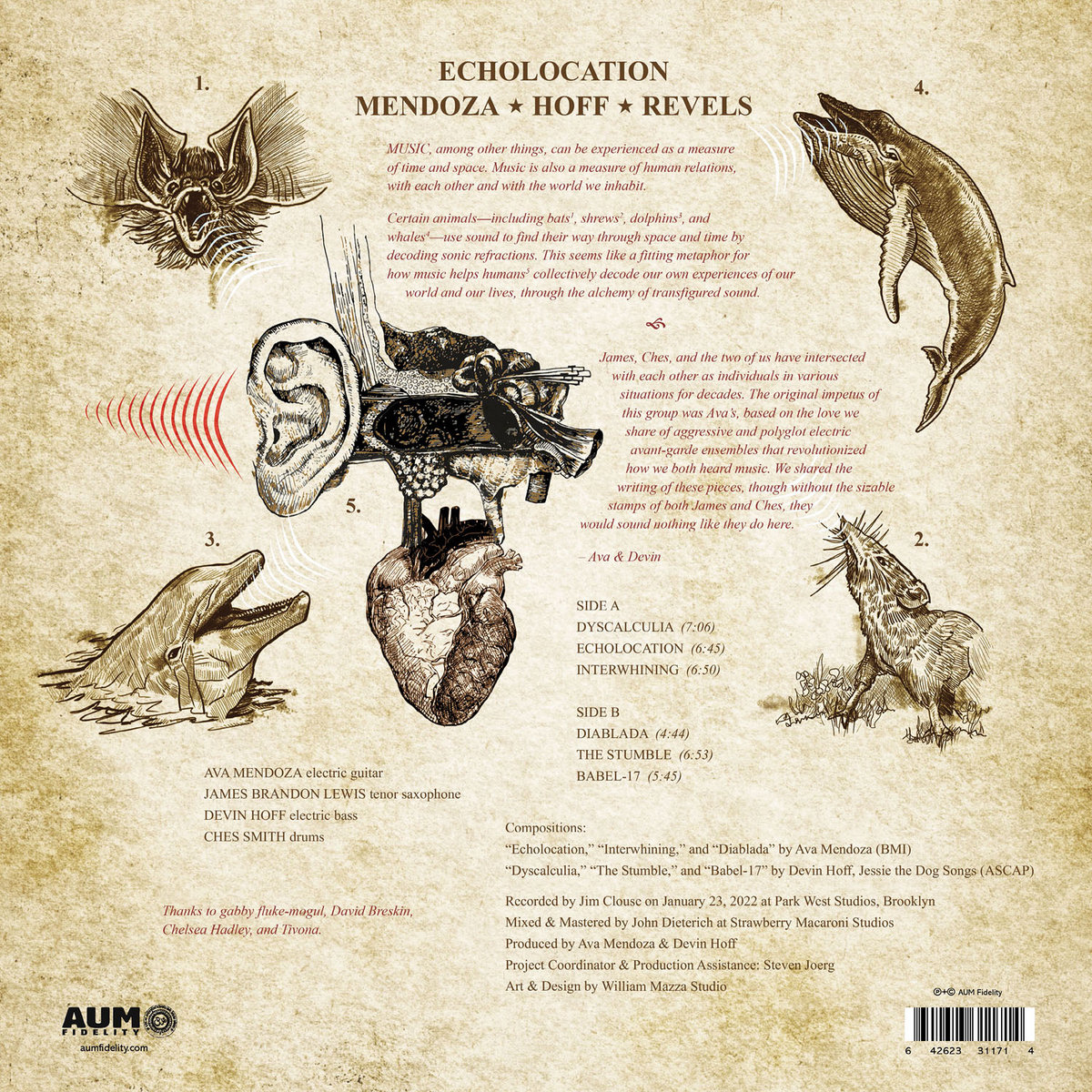 Echolocation | Mendoza Hoff Revels | Ava Mendoza