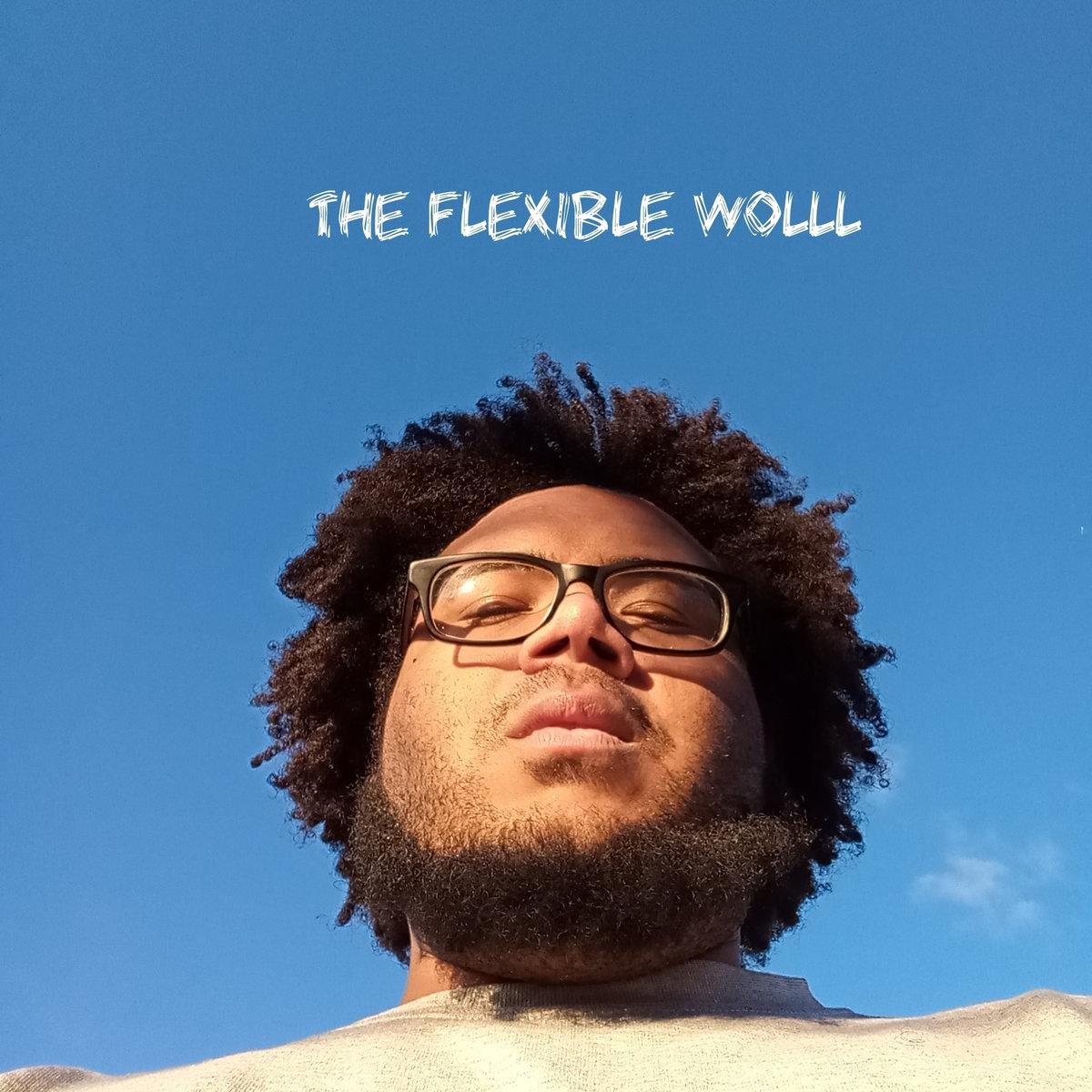 JUST DÒ IT (DIRECTOR'$ CUT) | The Flexible Wolll