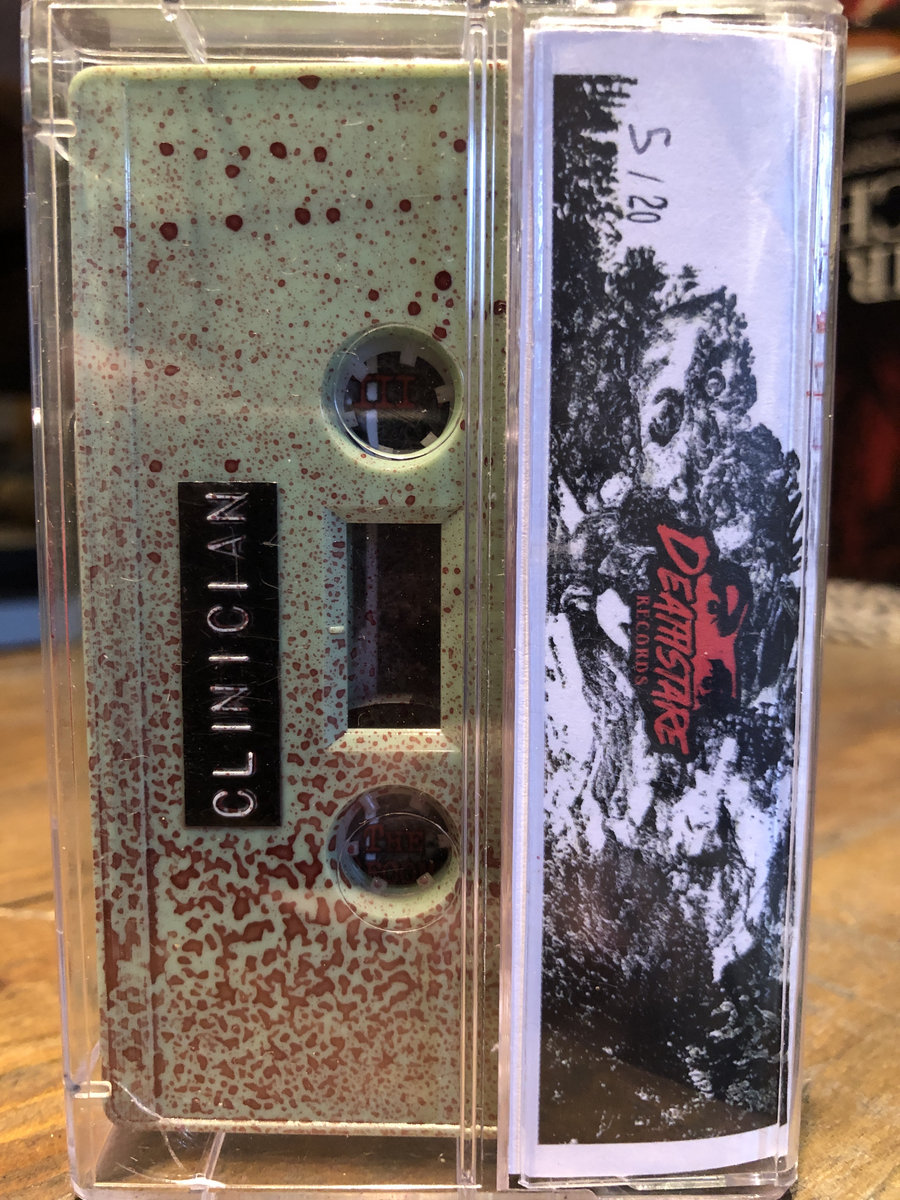 The Fascinating Process Of Human Decomposition | Clinician