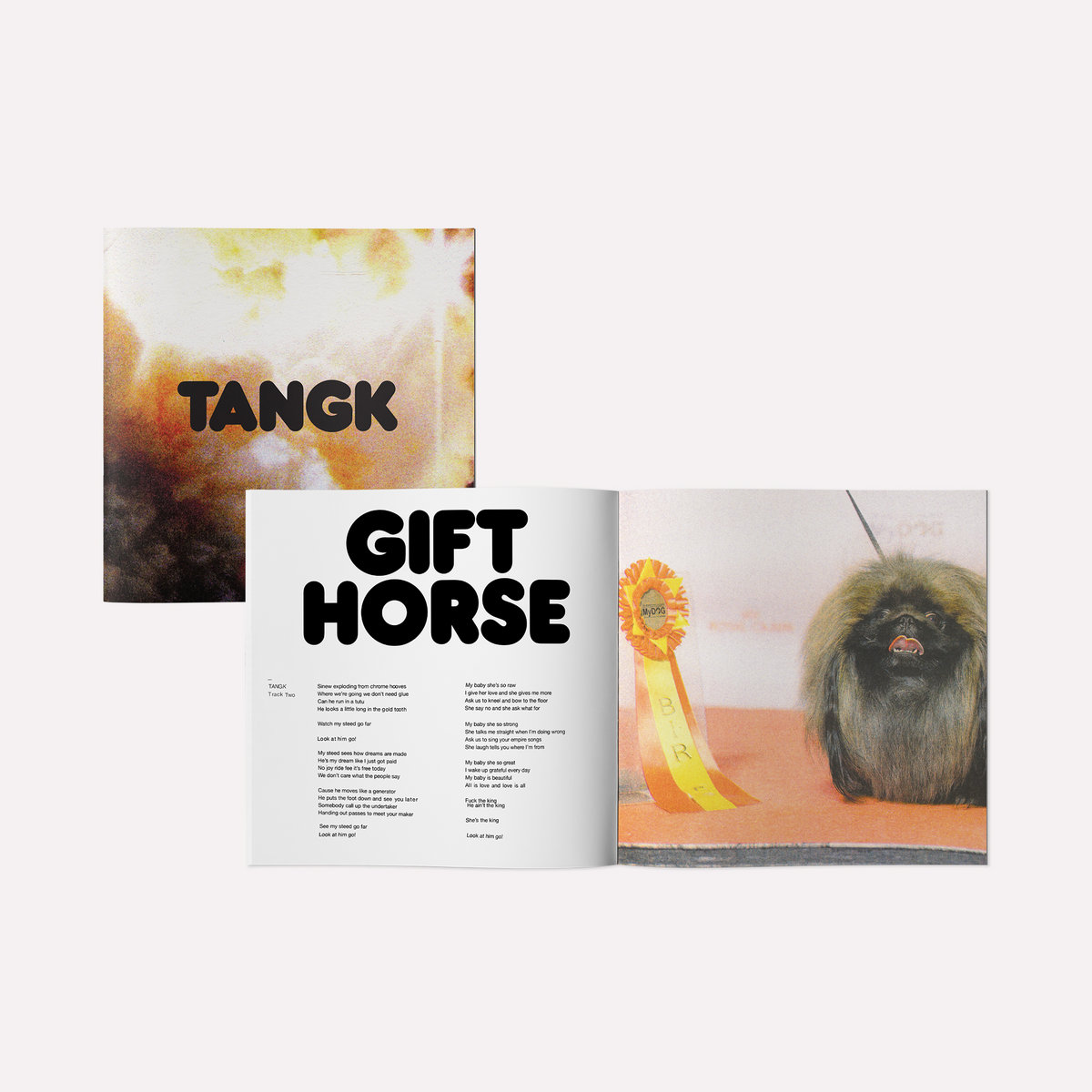 TANGK | IDLES
