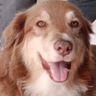 The Air Around Her | Ellen Fullman & Okkyung Lee | John Chantler / 1703 ...