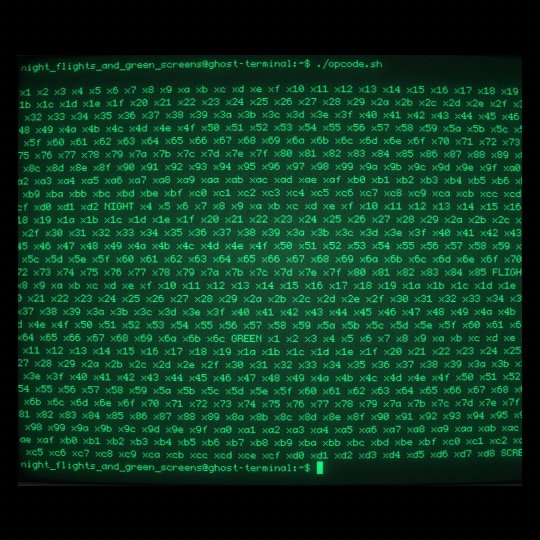 Night Flights and Green Screens | Ghost Terminal