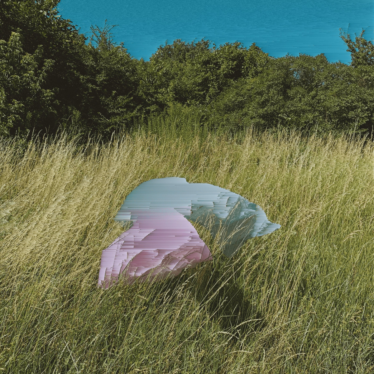 GERG. | CRASH COURSE SYNDROME