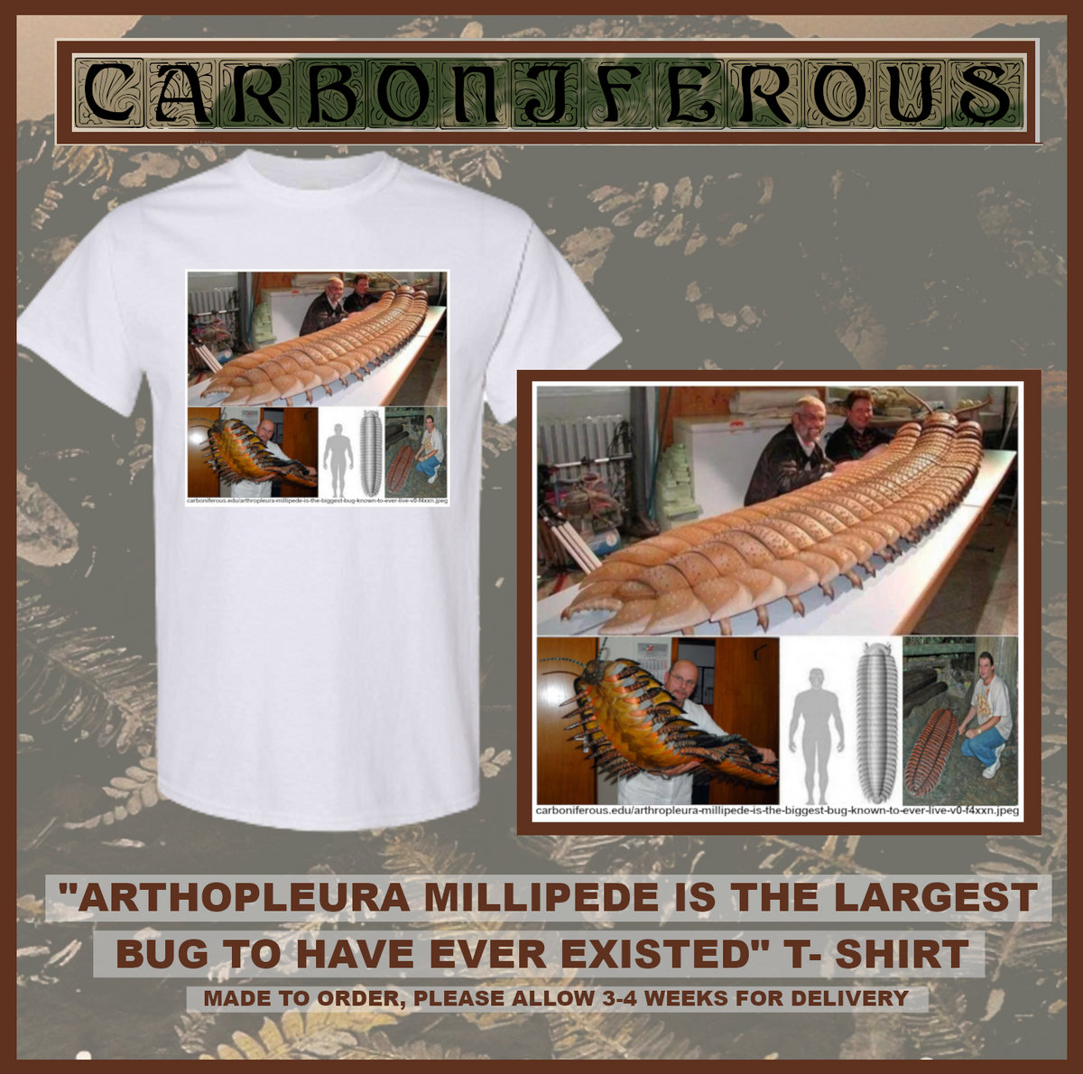 Arthropleura: The Biggest Bug Ever Known To Live | CARBONIFEROUS ...