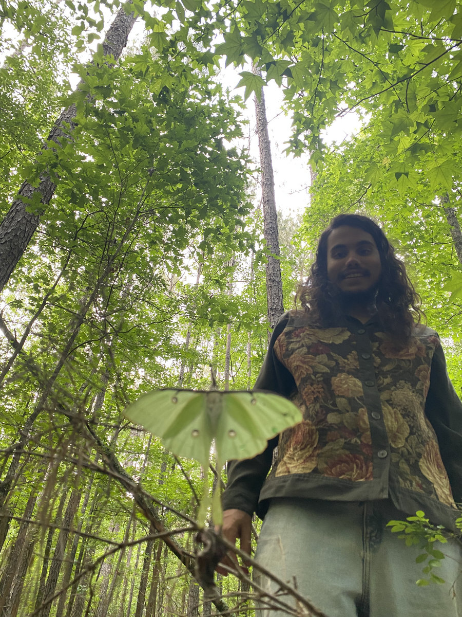 Inside the Harmonic Prism | Jeremy Kiran Fernandes