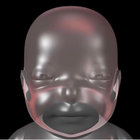 Living Creatures | Stolas