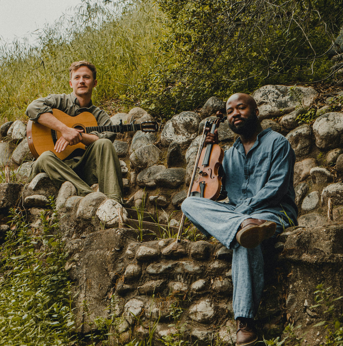 Lemon Tree | Tim and James