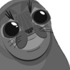 don't look at me | Oblique Occasions