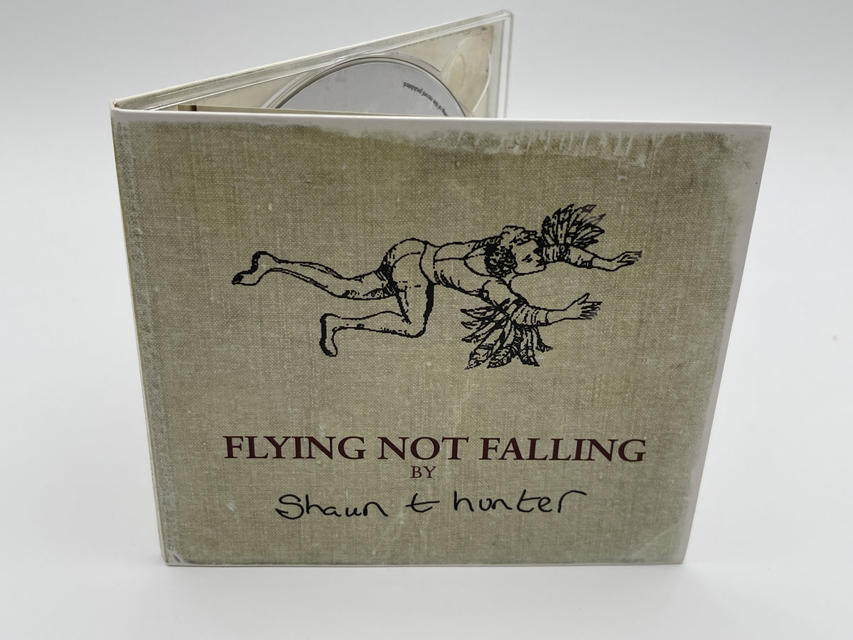 Flying Not Falling | Shaun T. Hunter | Captain Of The Lost Waves