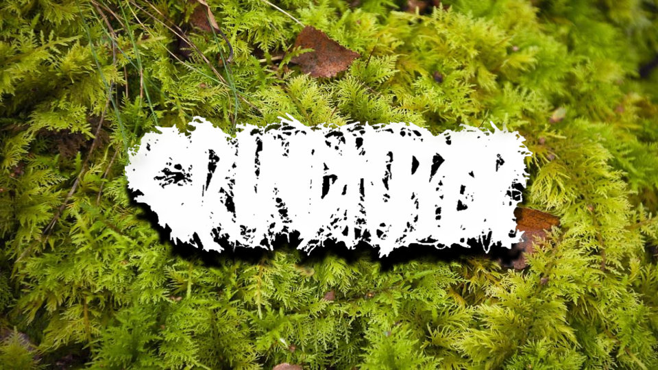 Chained, Tortured, Gutted (Rotting Body Split) | Grindhopper, Rotting ...