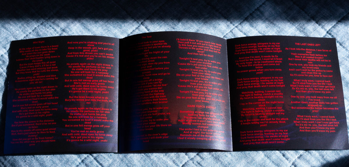 Wild Night | THE RUNAWAY WILD