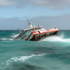 Tally Ho! Flying Nun's Greatest Bits | Various | Flying Nun Records