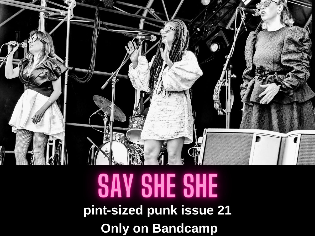 pint-sized punk zine issue 21 | pint-sized punk zine