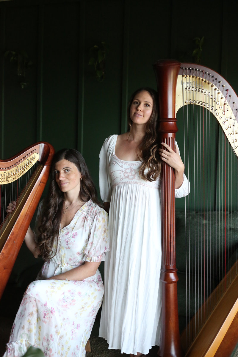 Open | Dear Persephone