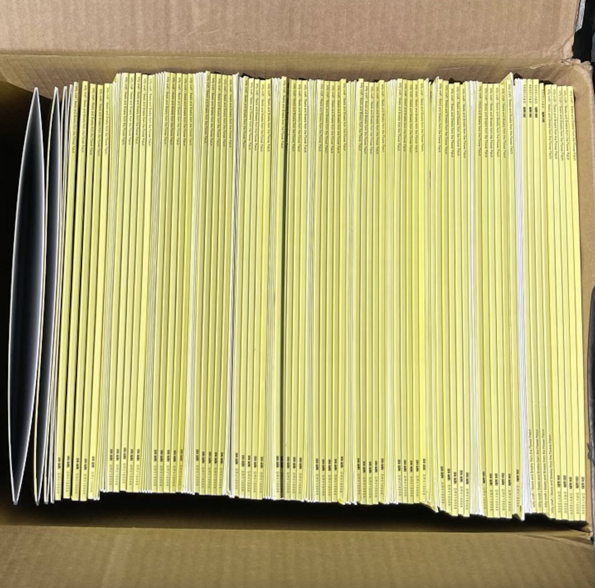 Beats and Breaks from the Flower Patch (U.S. Release) | Kitty Craft