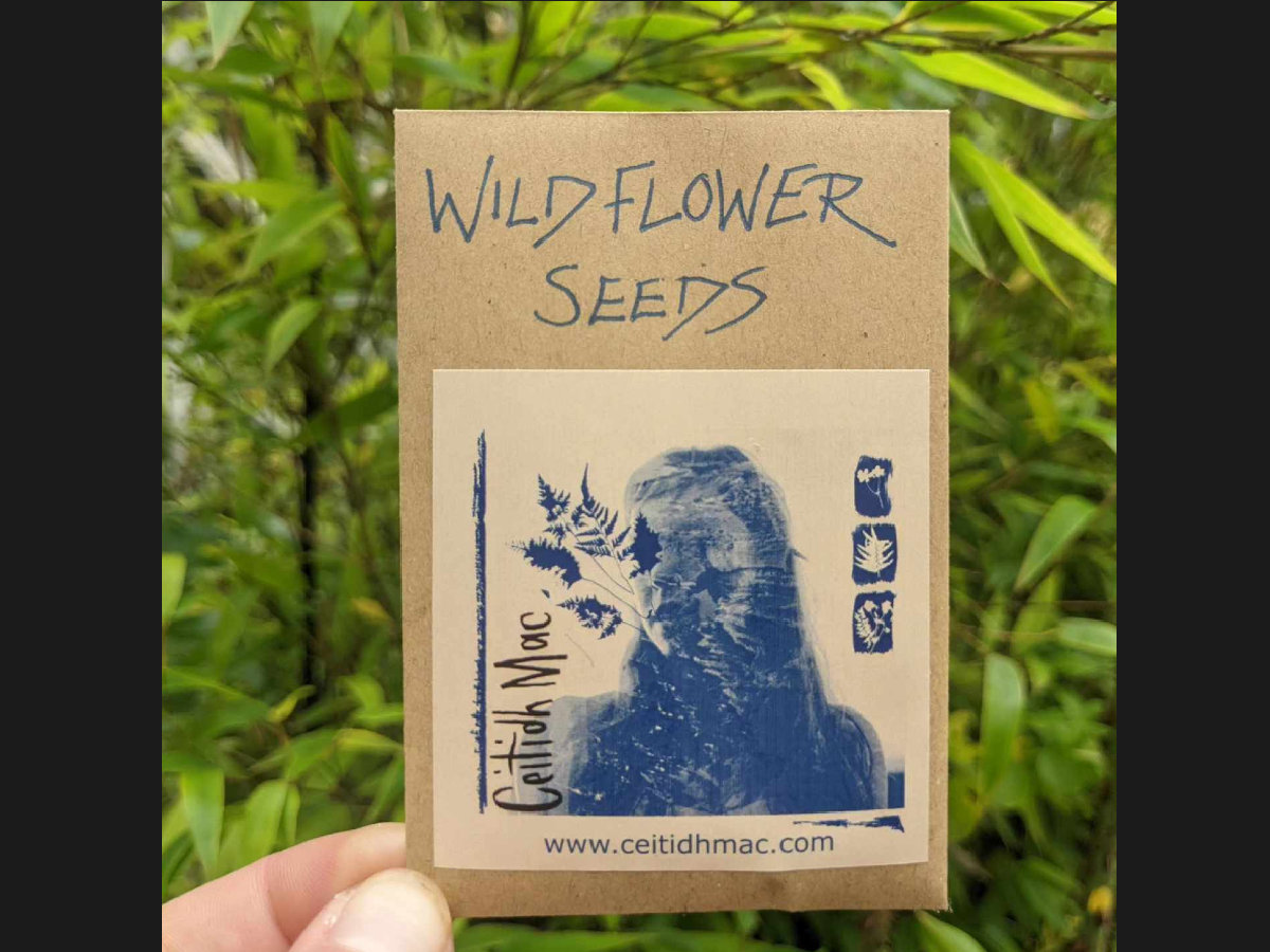 LIMITED EDITION PRINT | Ceitidh Mac