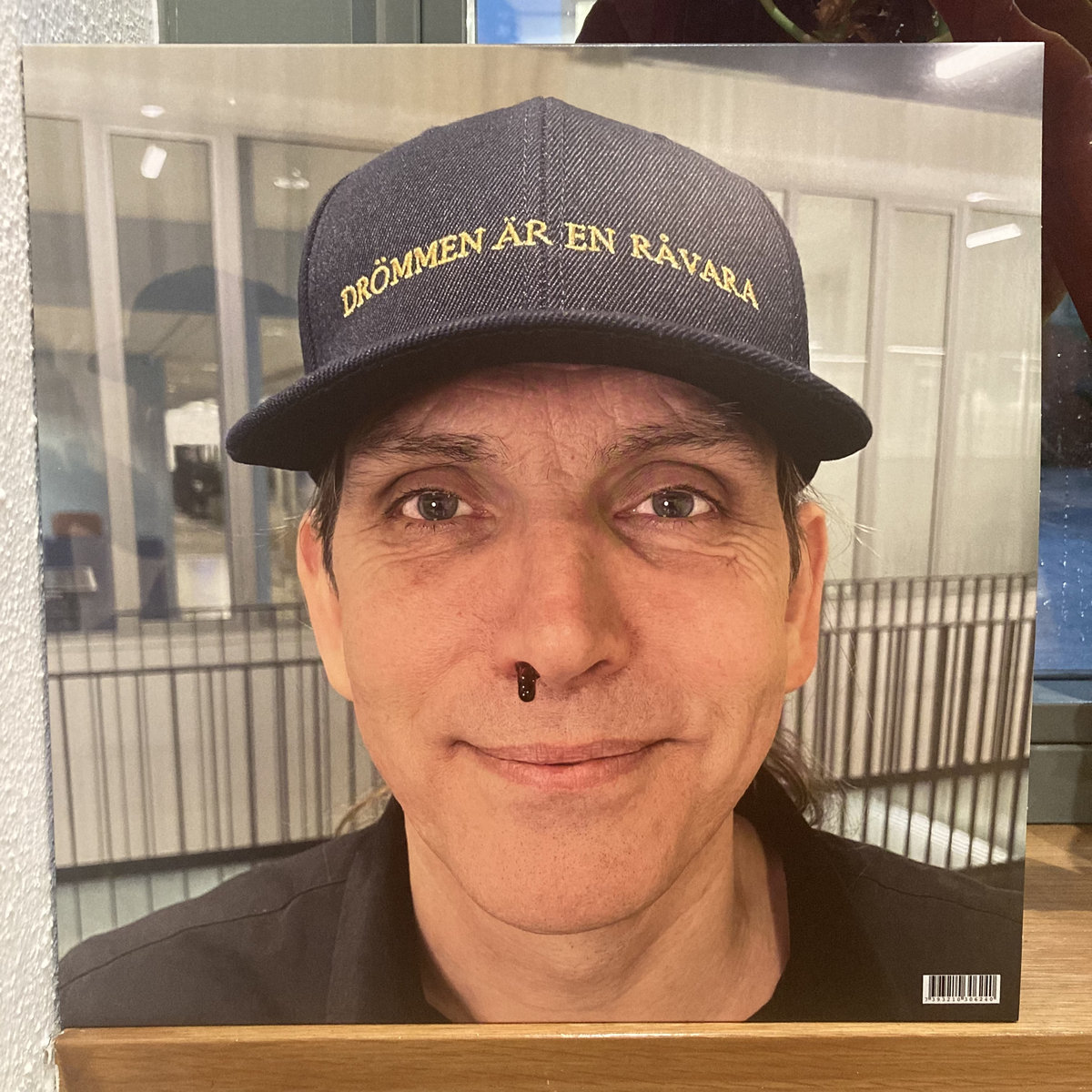 DRÖMMEN ÄR EN RÅVARA | bob hund