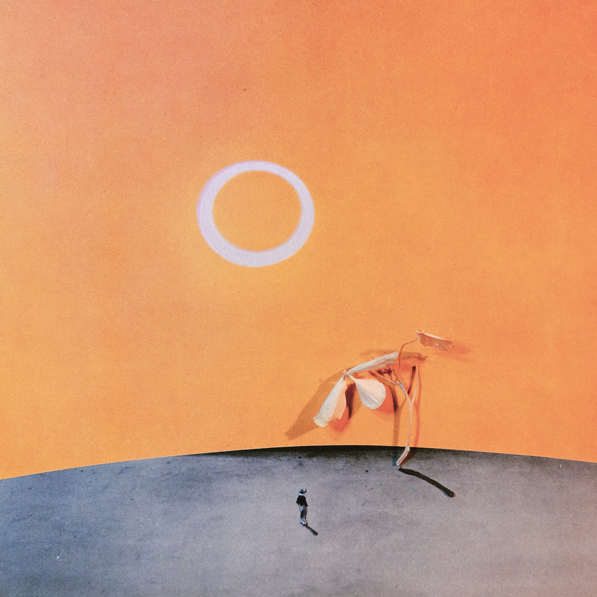 Chooglin' Down the Autobahn | Rising Main