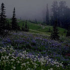 BURN PYGMALION!!! A Better Guide to Romance | the scary jokes