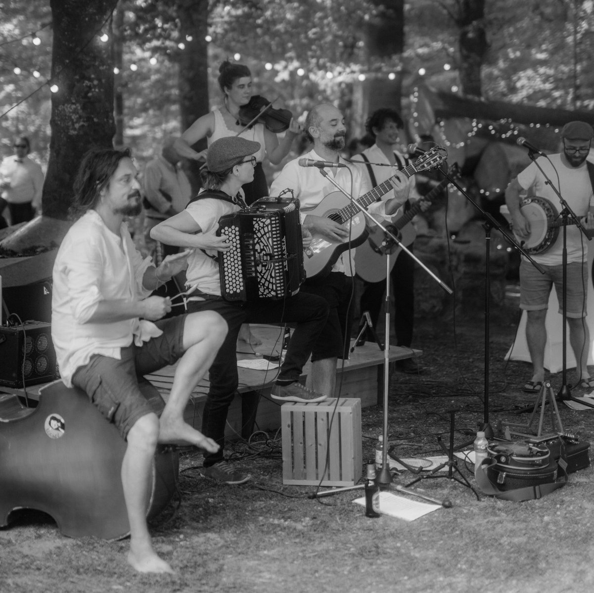 The Second Last Leprechaun | The Second Last Leprechaun