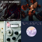 FOLDING IN | STATIQBLOOM + BLUSH RESPONSE | BLUSH RESPONSE