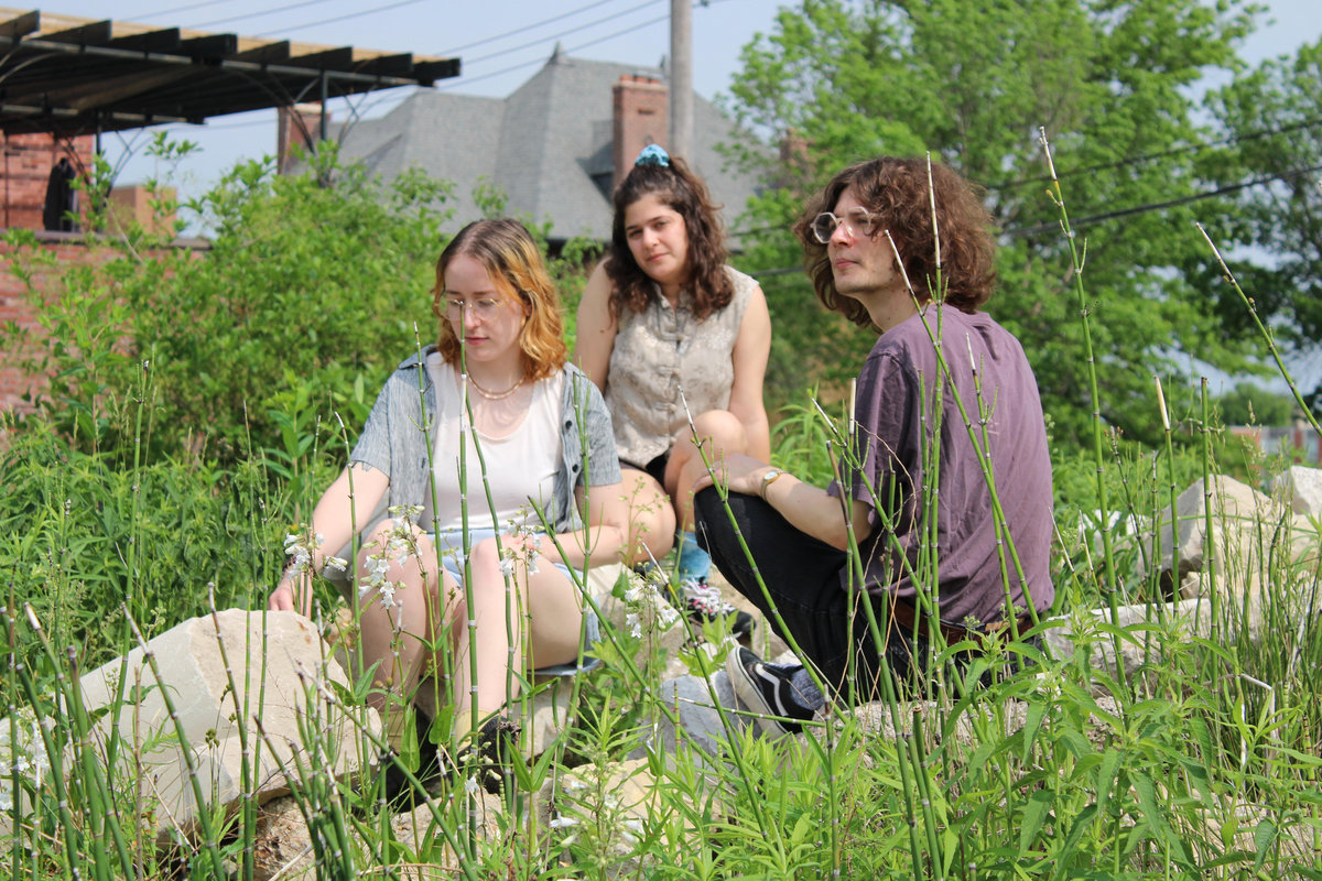 In Hindsight | Algae Dust