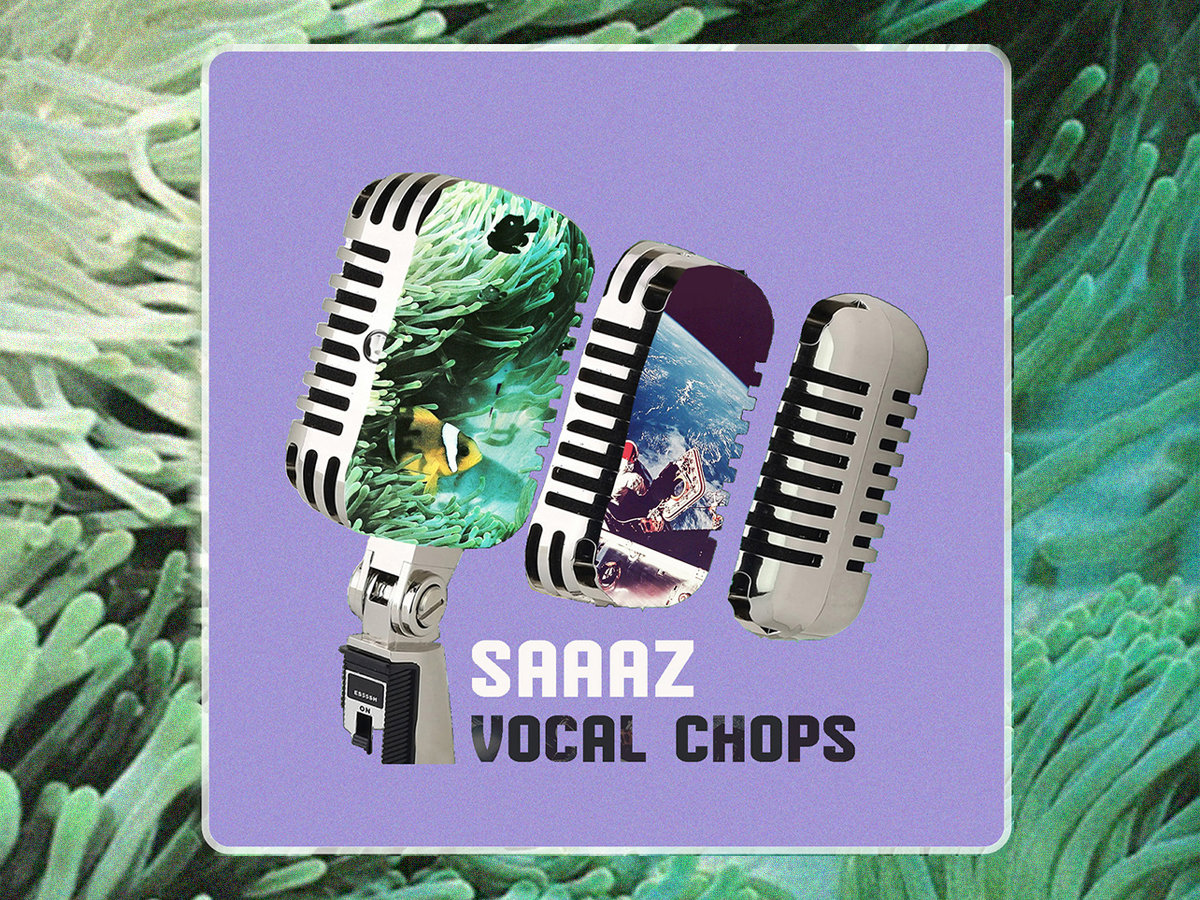 Vocal Chops (Sample Pack) | Echo World