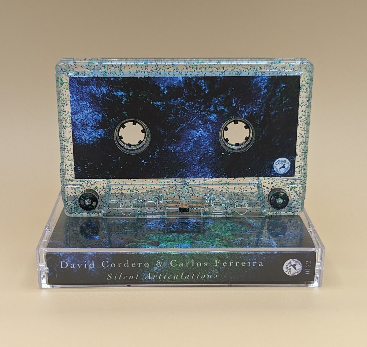 Silent Articulations | David Cordero & Carlos Ferreira | Aural Canyon
