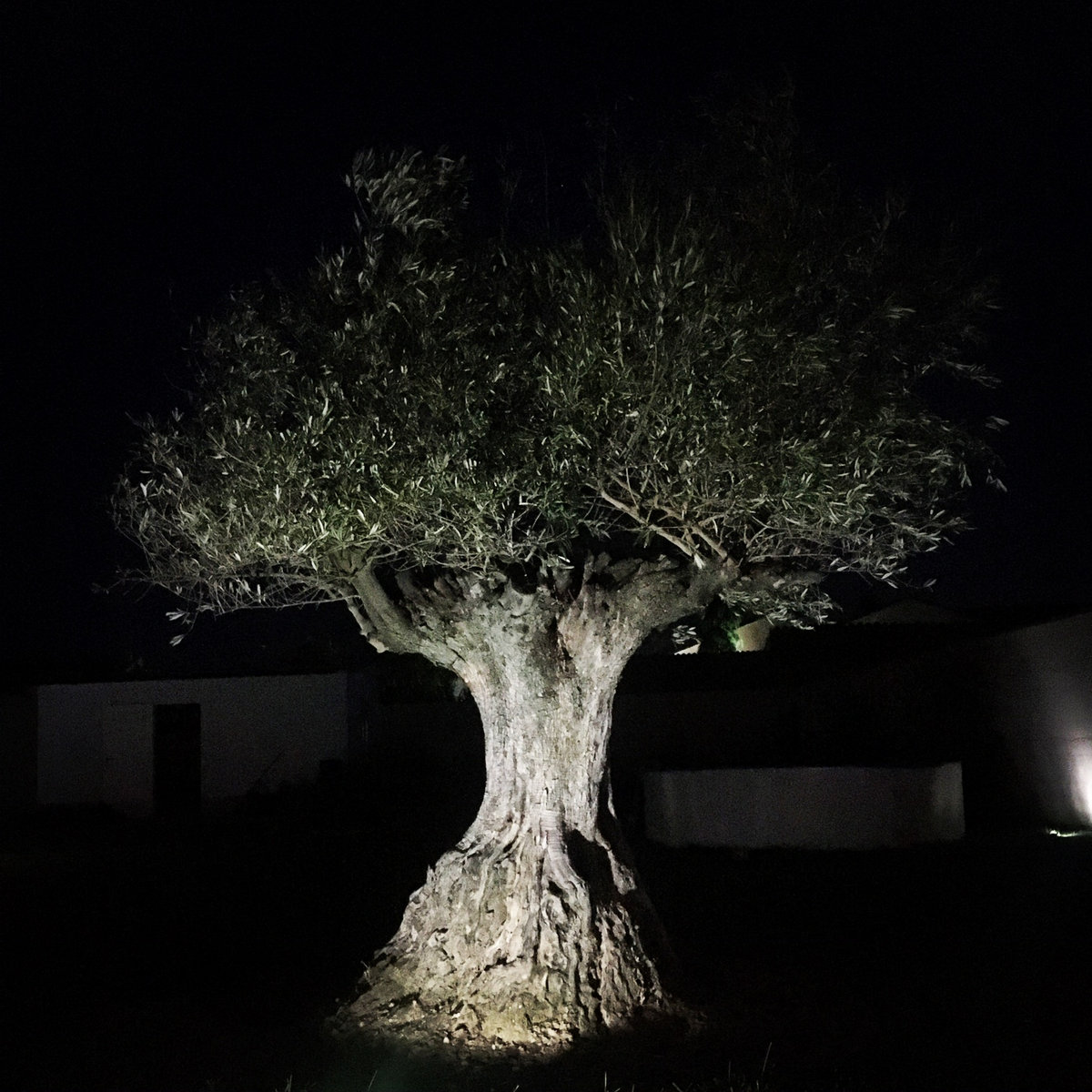 Goodbye, Silver Planes | Goodbye, Silver Planes