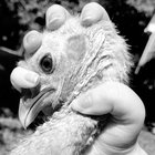 A Human's Touch (feat. McKenna Rae) | TWRP