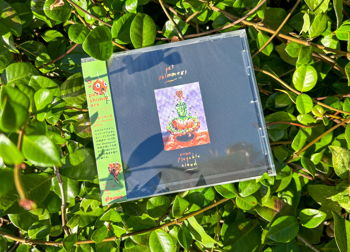 Anon Playable Cloud | Pet Shimmers