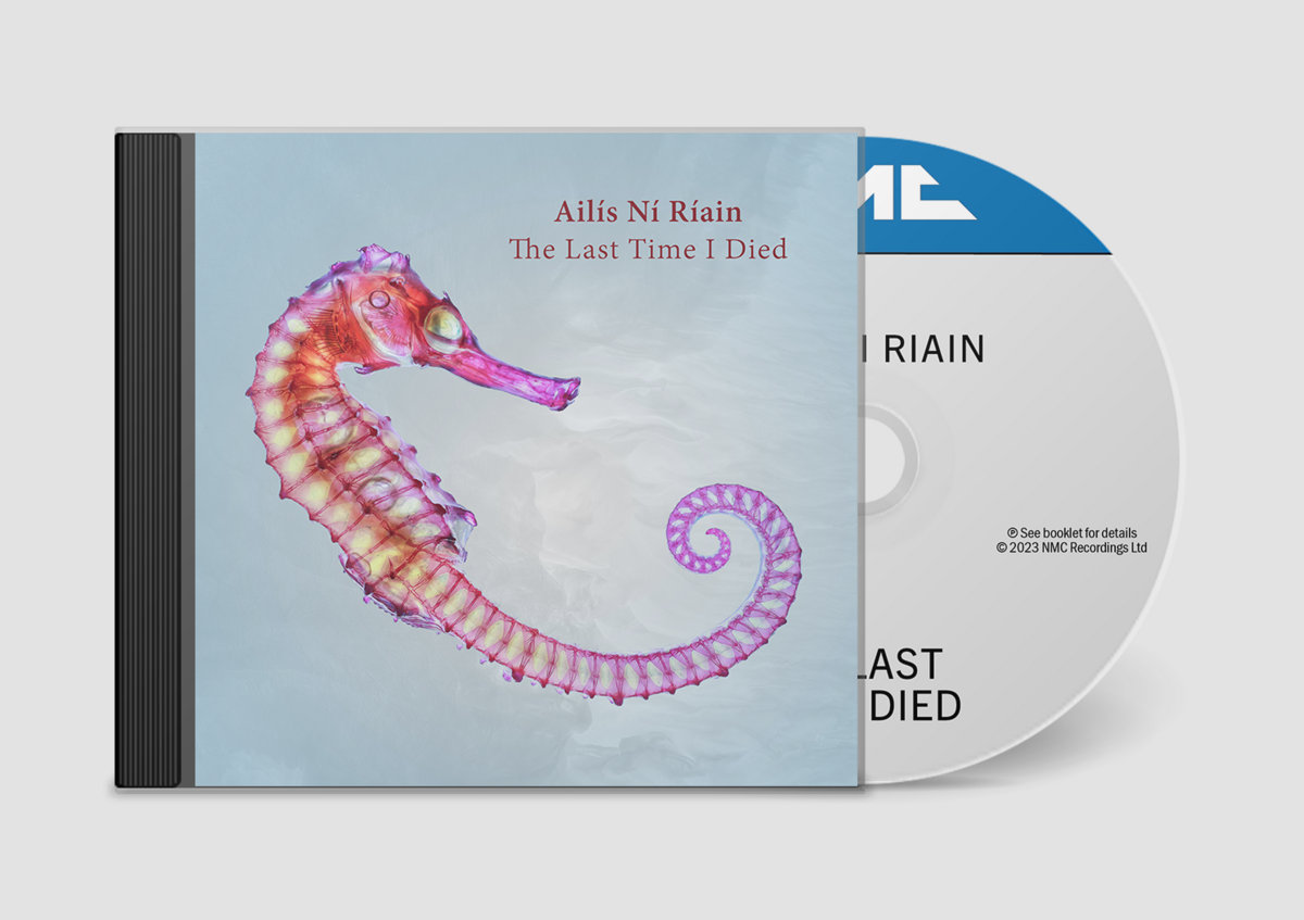 The Last Time I Died | Ailís Ní Ríain