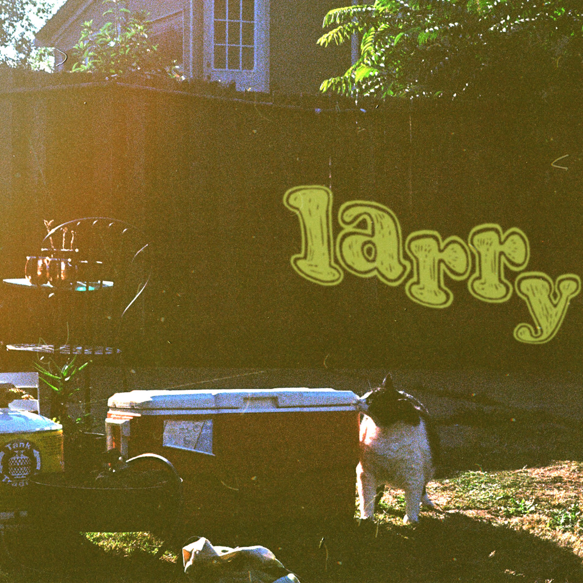 larry 2 | larry