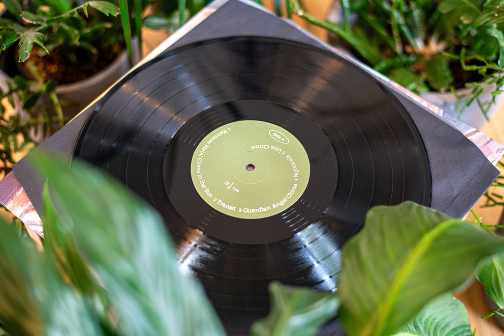 Roy Werner, “Imagine My Surprise” | Bandcamp Daily