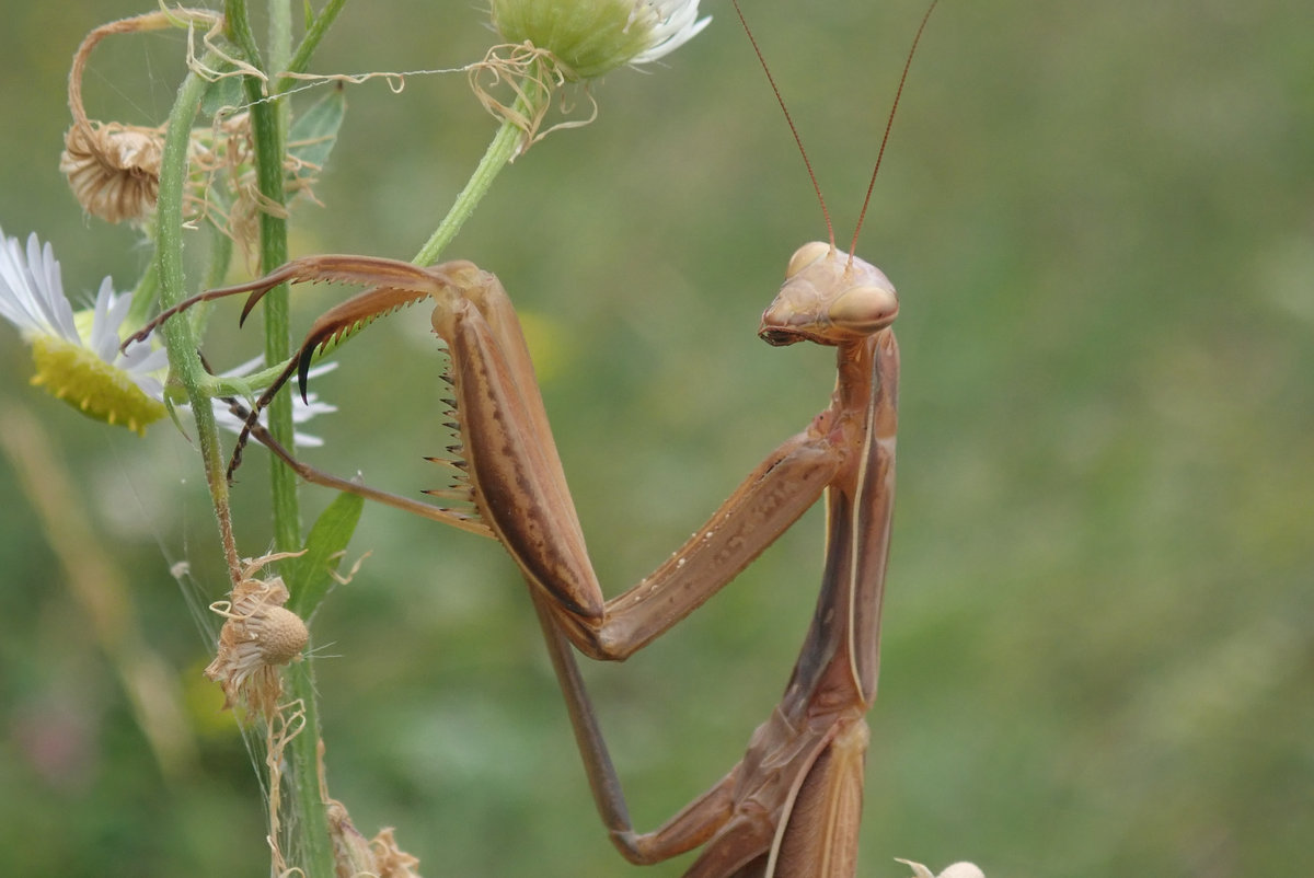 Change - Album | ELTRO-5