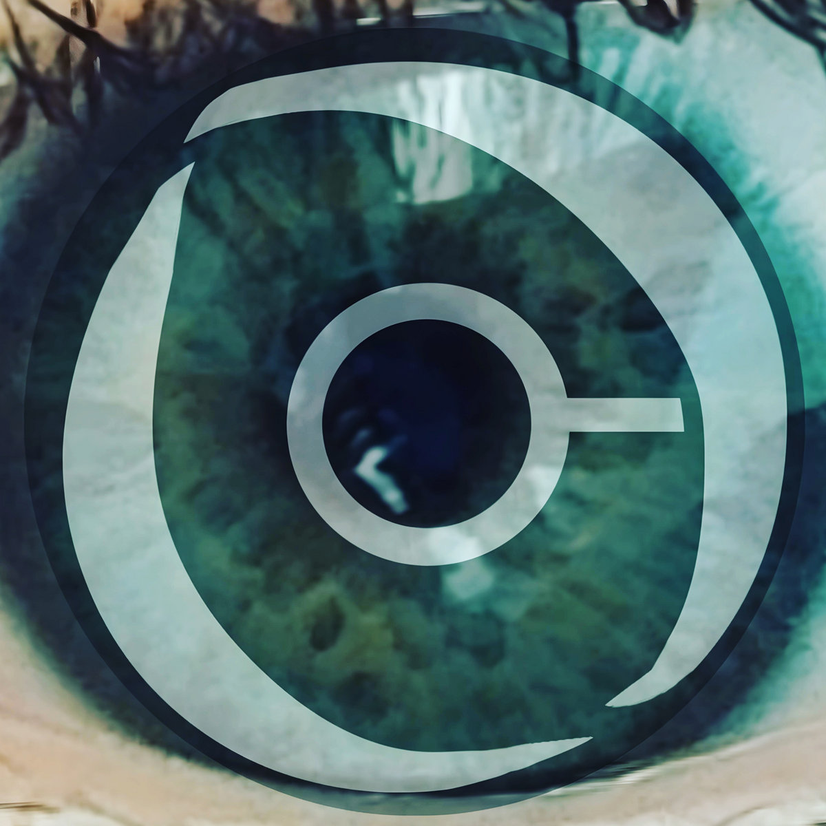 The Grass Grows Greenest Where The Fire Once Burned | Ovoid