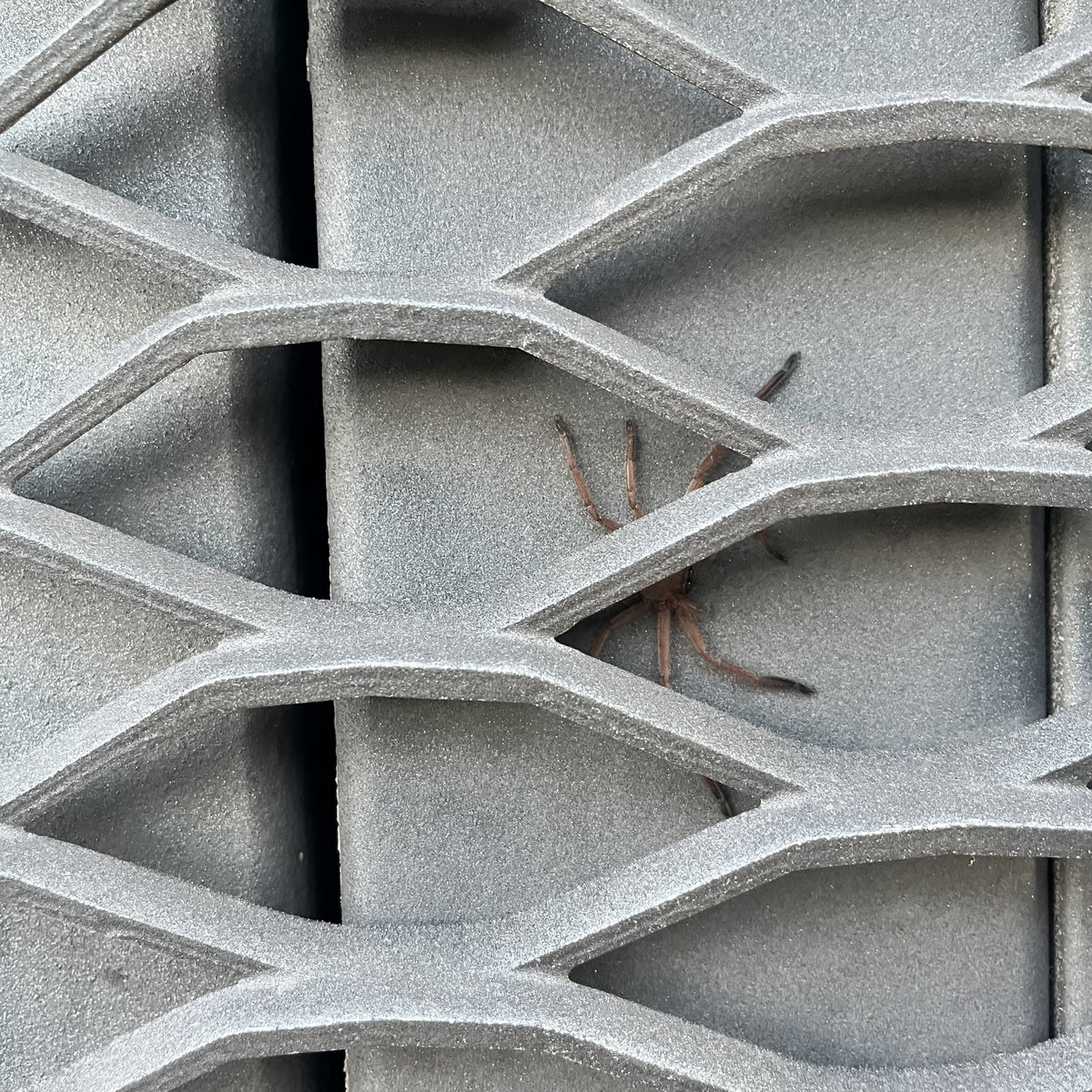 Homecoming EP | DJ Huntsman