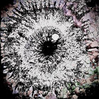 Annihilation (Music From The Motion Picture) | Ben Salisbury & Geoff Barrow