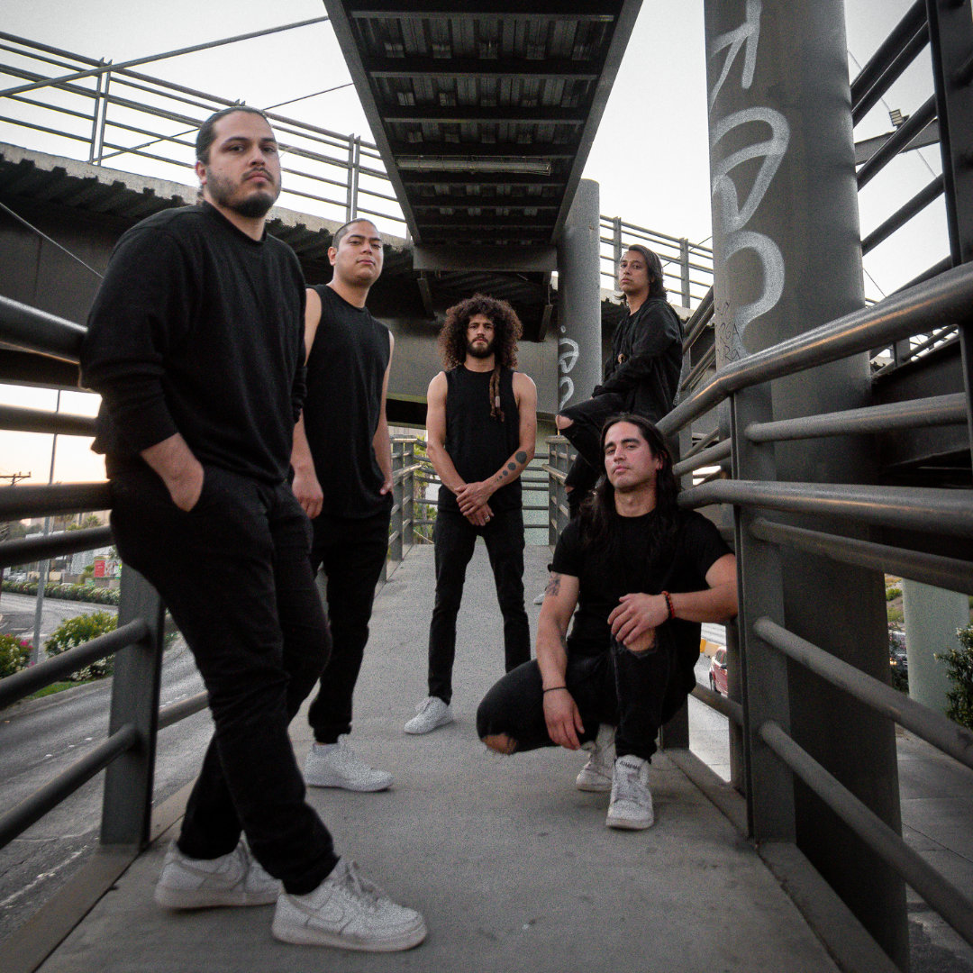 Soulless | Feed The Vulture